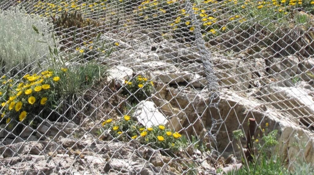 Wire Mesh for Slope Protection: Preventing Rocks