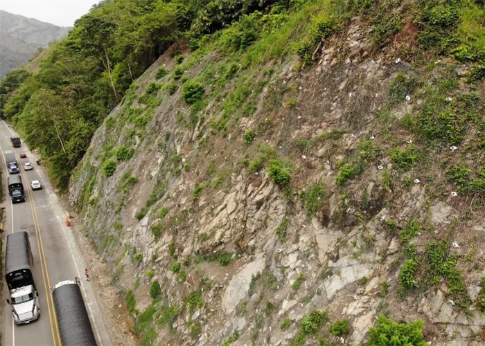 Tecco Mesh Asheville North Carolina –Importing Guide