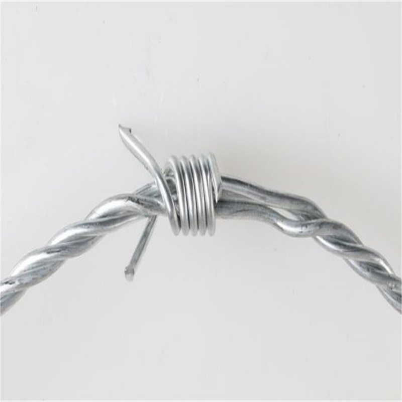 hot dipped galvanized barbed wire