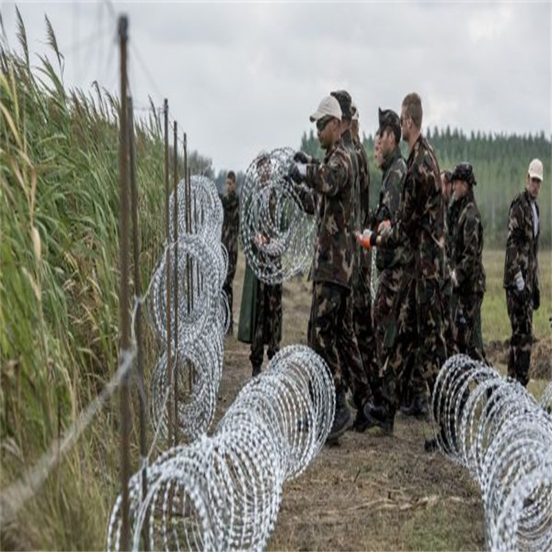 Electro-galvanized razor wire