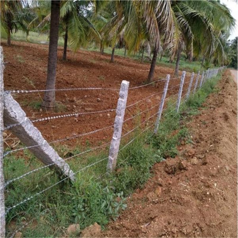 Straight Line Razor Wire: Strong and Durable Fencing