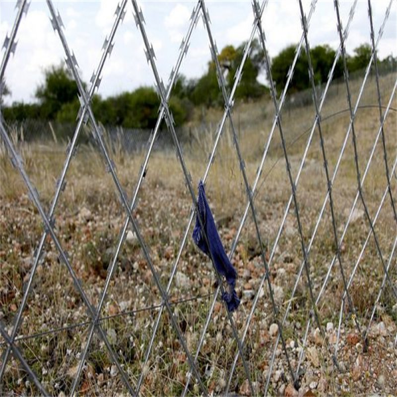 Welded Razor Wire Mesh – High-Security Fencing