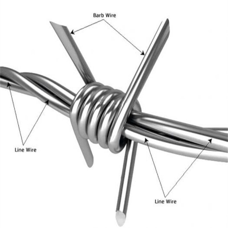 hot dipped galvanized barbed wire